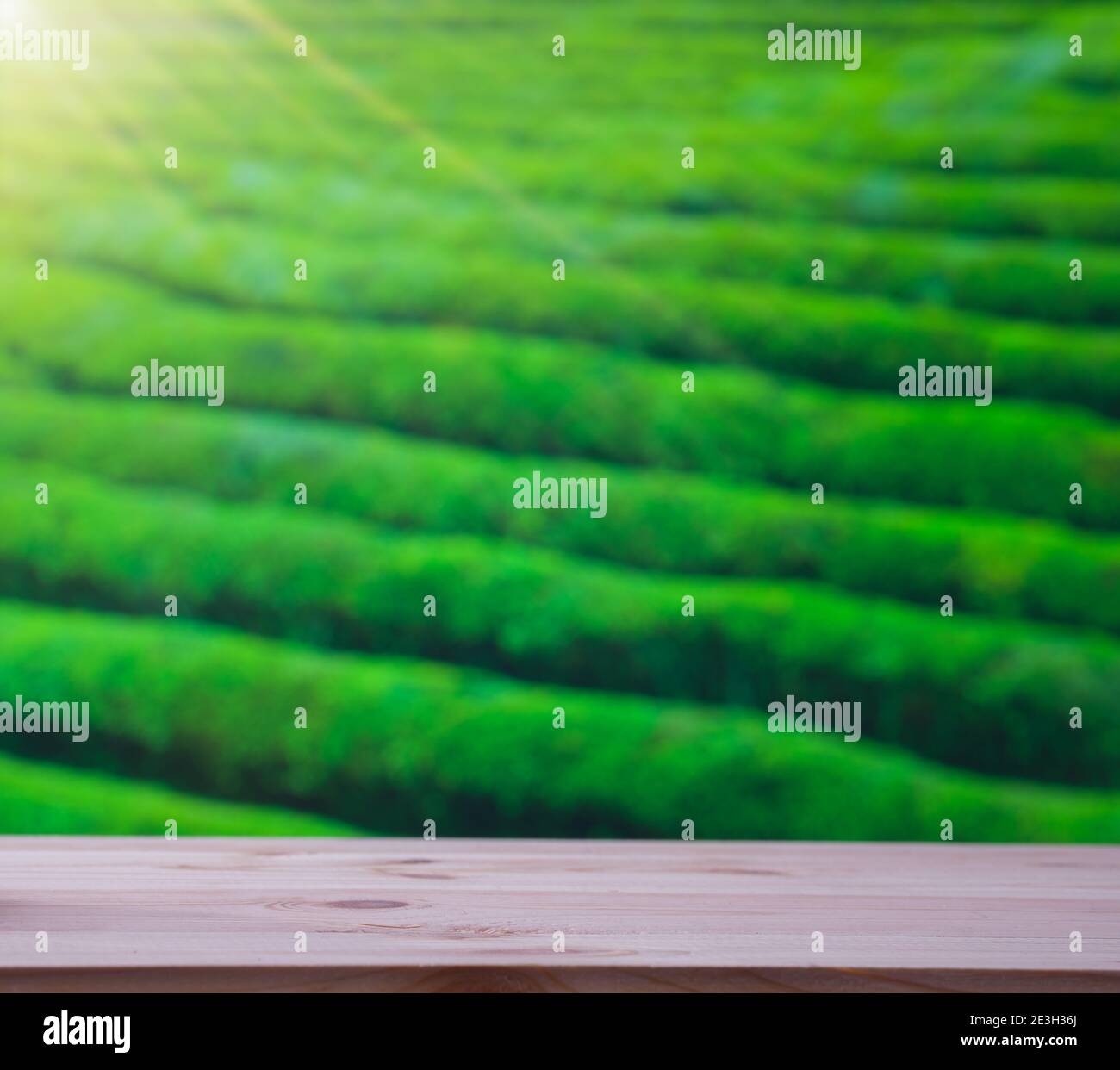 wooden table. background is tea field Stock Photo - Alamy