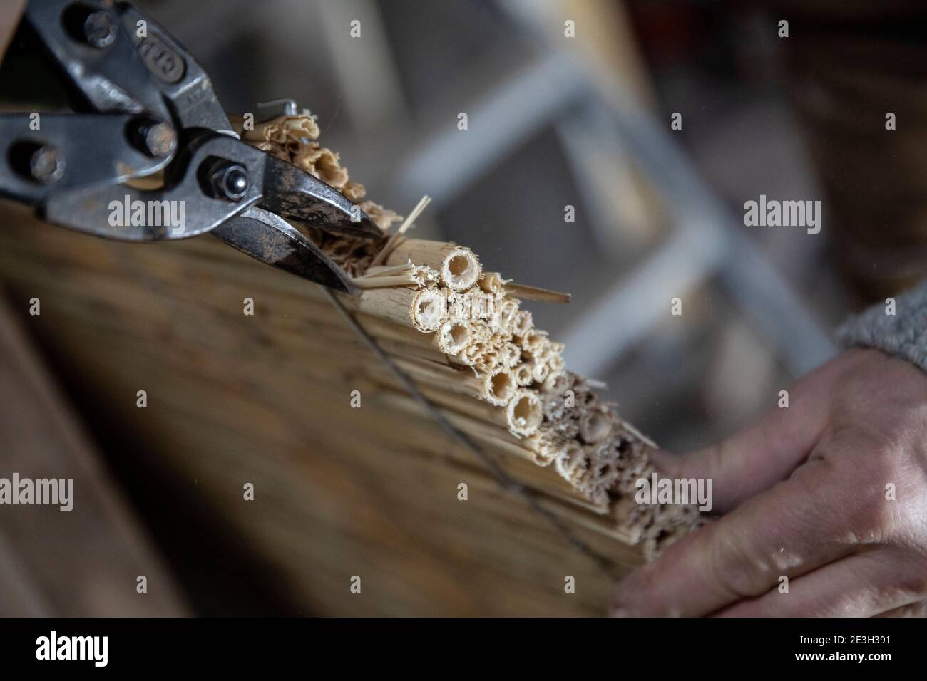 Renovation of a house using eco-friendly materials, bio-based materials ...