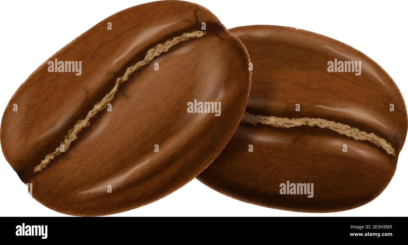 Roasted coffee beans. Vector illustration Stock Vector Image & Art - Alamy