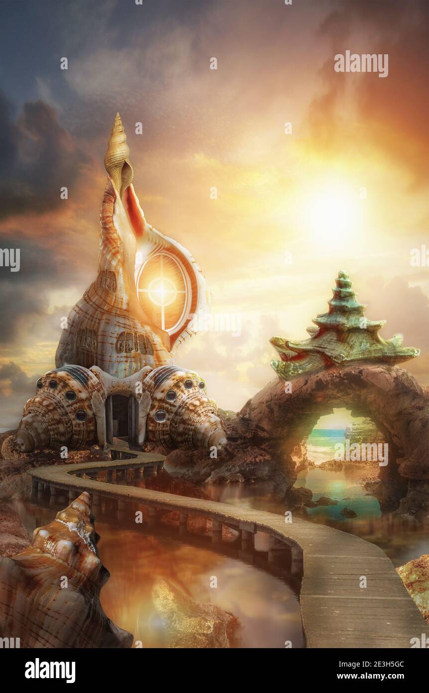 Shell castle hi-res stock photography and images - Alamy