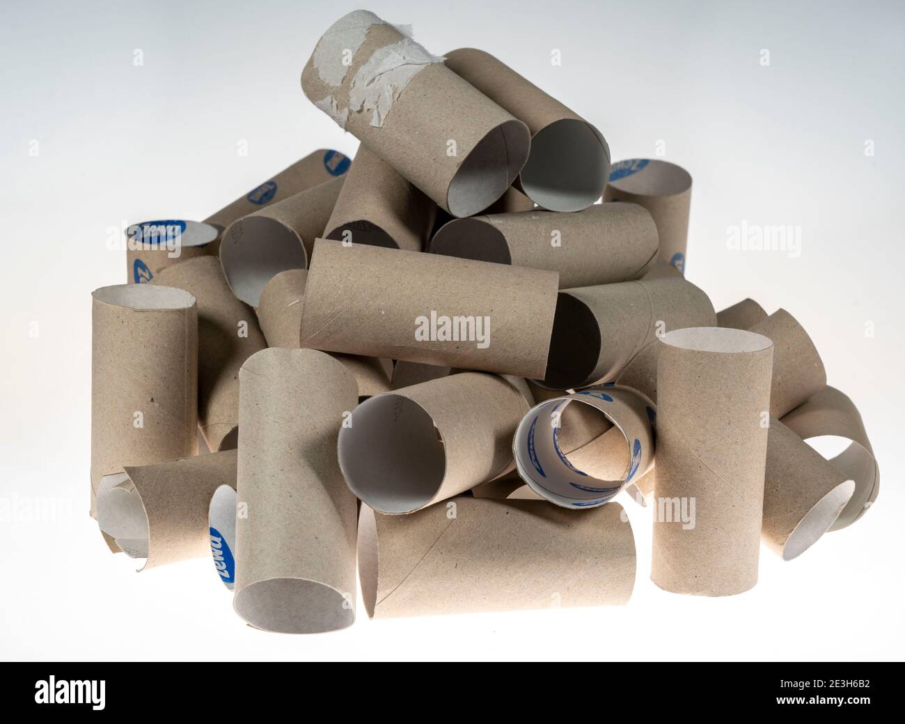 Pile, mountain of empty, used toilet paper rolls Stock Photo - Alamy