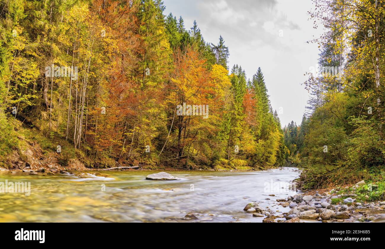 Beauty of the nature: with river and trees Stock Photo - Alamy