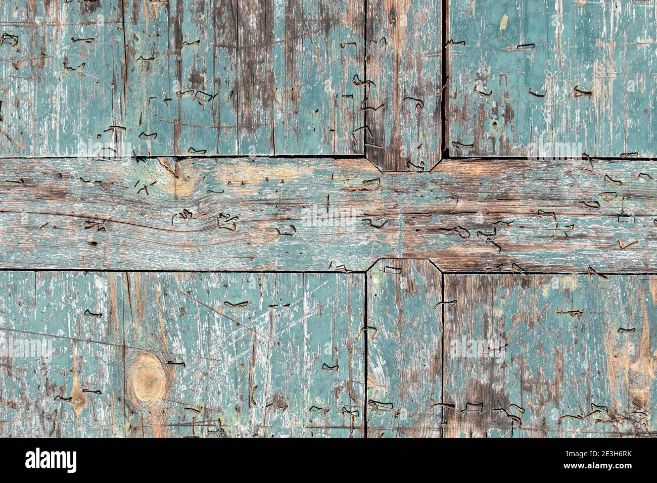 Old wood texture background with teal colored chipped paint and staples ...
