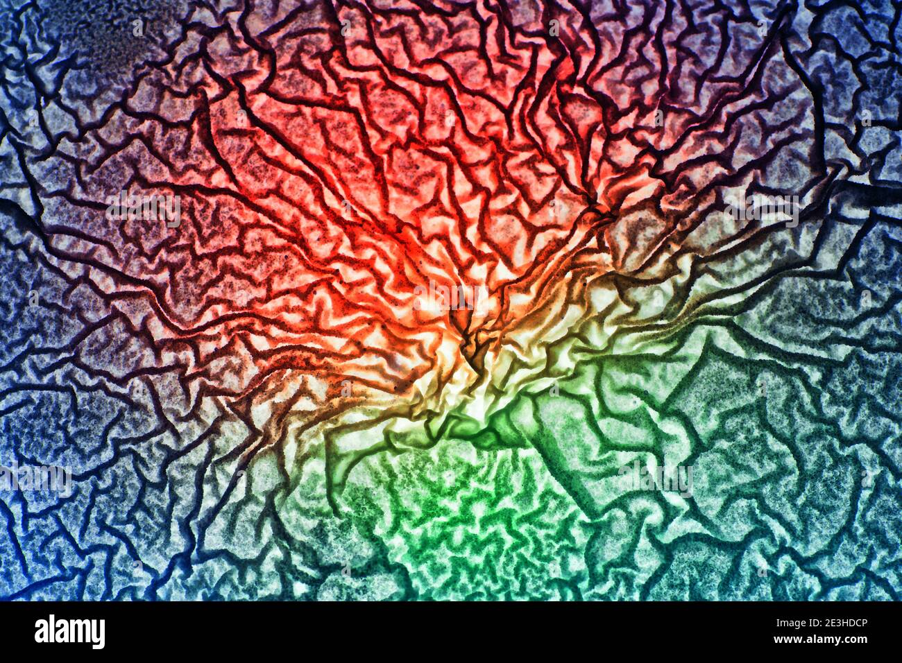 biological texture microscopic. Brain neural networks. Electron ...