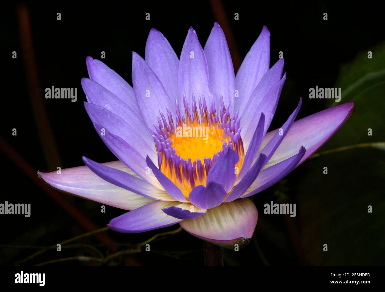 Indianapolis plant hi-res stock photography and images - Alamy