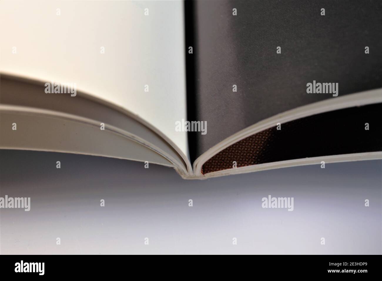 book on a white background Stock Photo - Alamy