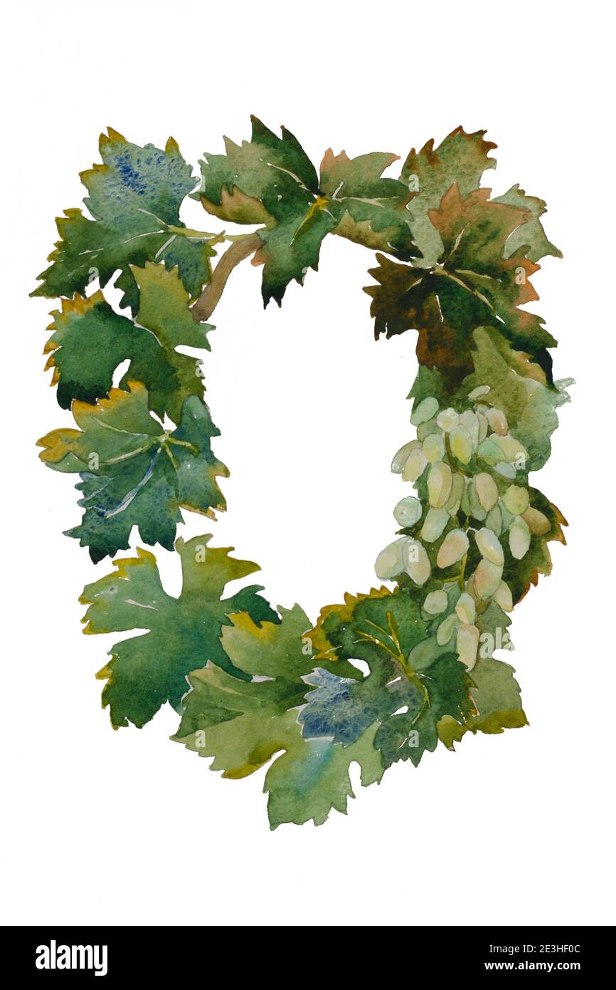 vine grape frame from leaves and fruits watercolor painting Stock Photo ...