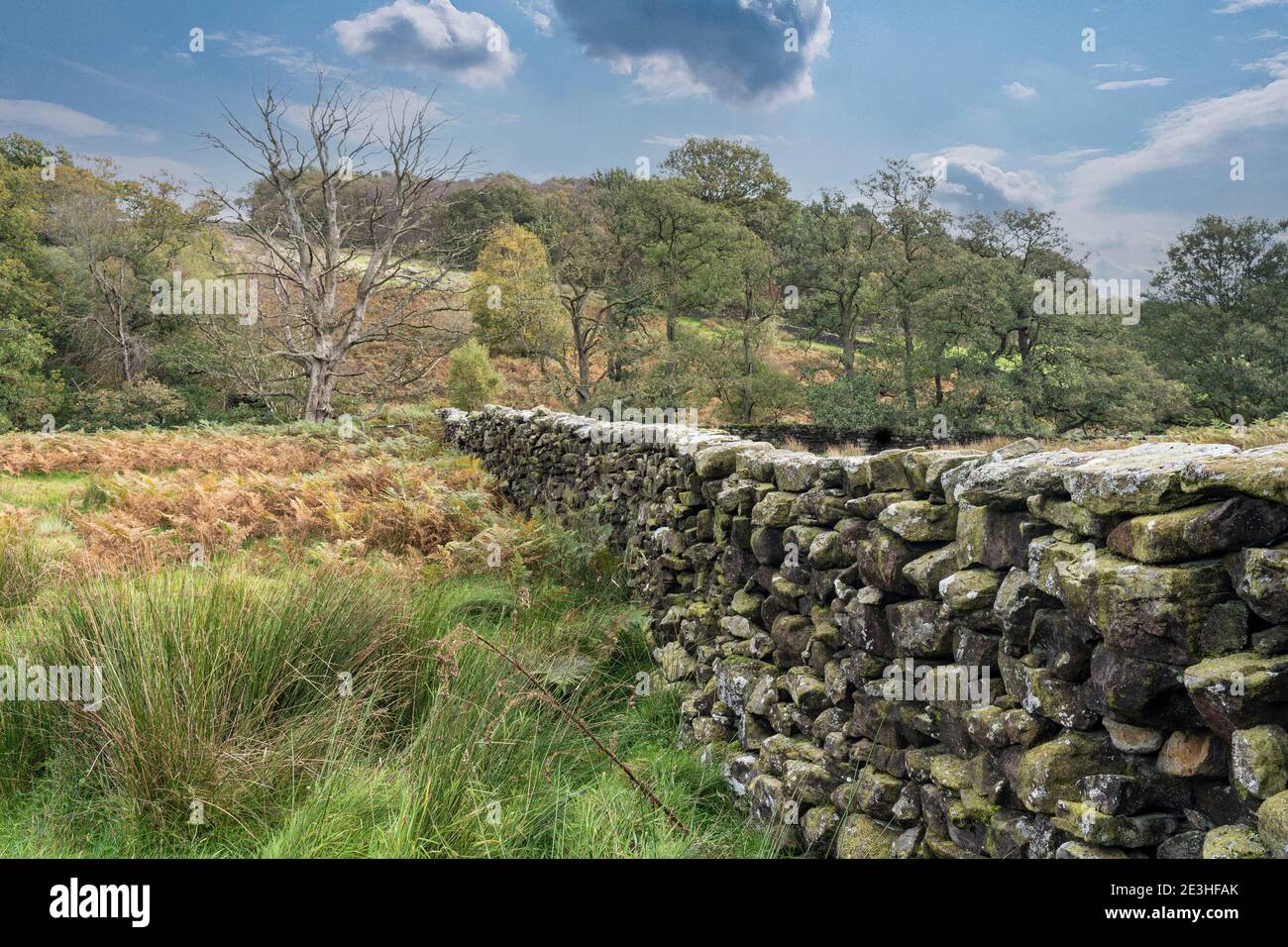 dry stone wall in north yorkshire moors national park, uk Stock Photo ...