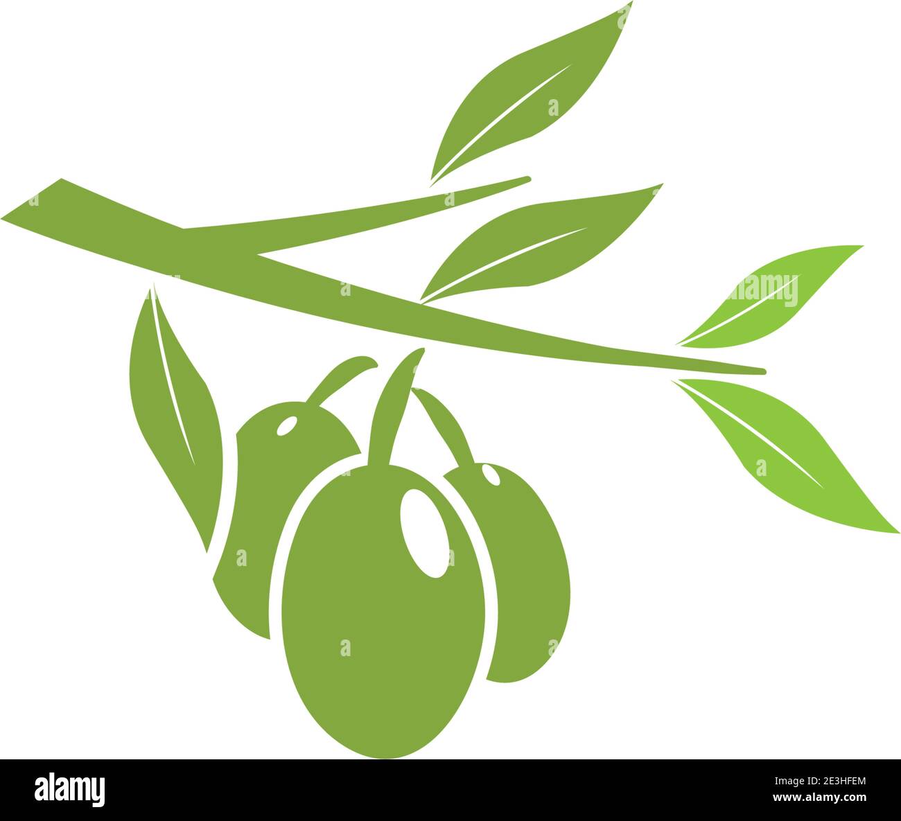 Olive tree vector illustration design template Stock Vector Image & Art ...
