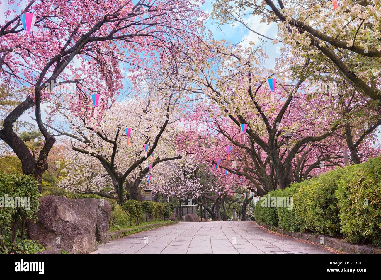 tokyo, japan - april 05 2020: Path of the Asukayama Park overlooked by ...