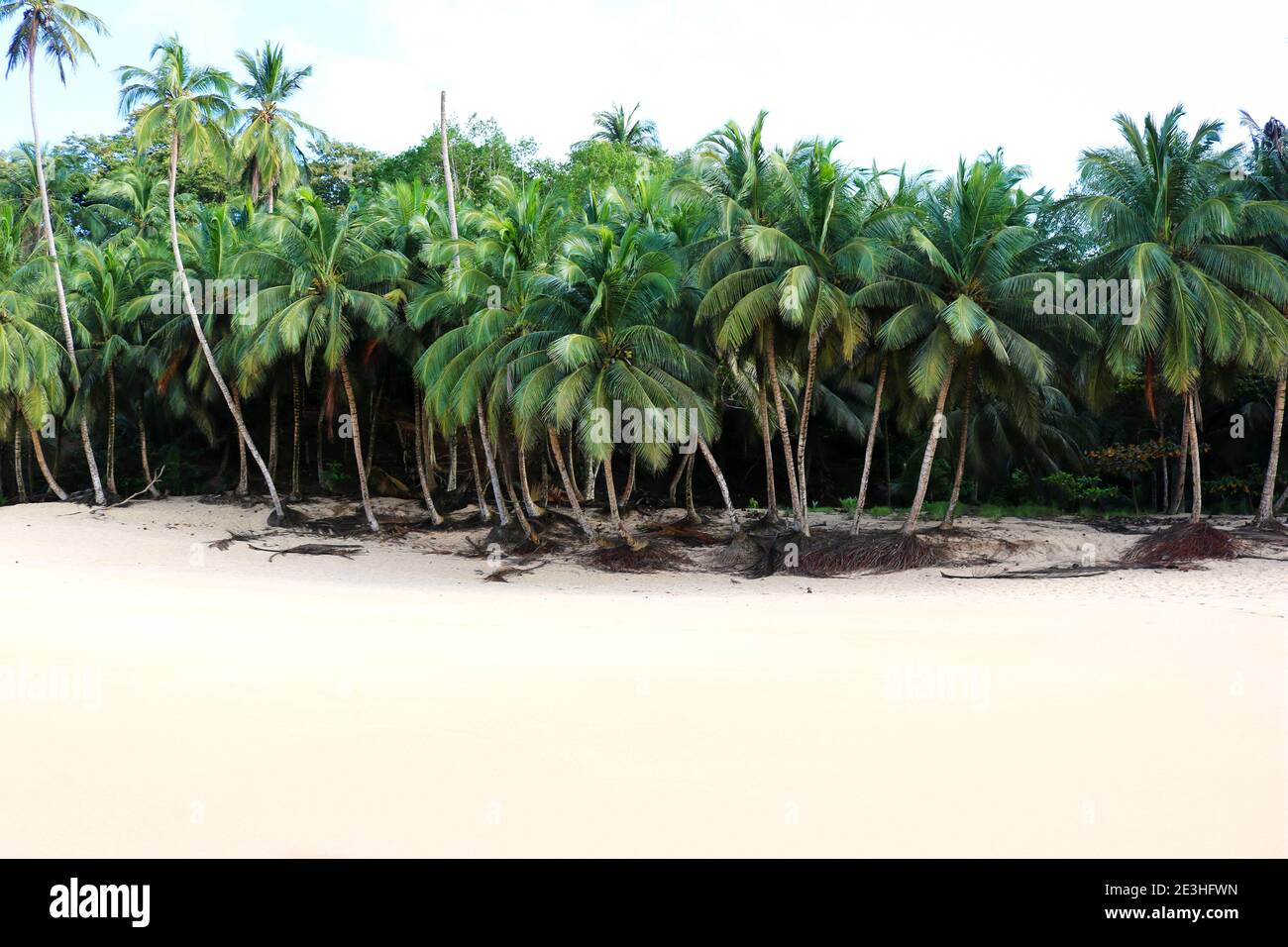 Principe island hi-res stock photography and images - Alamy