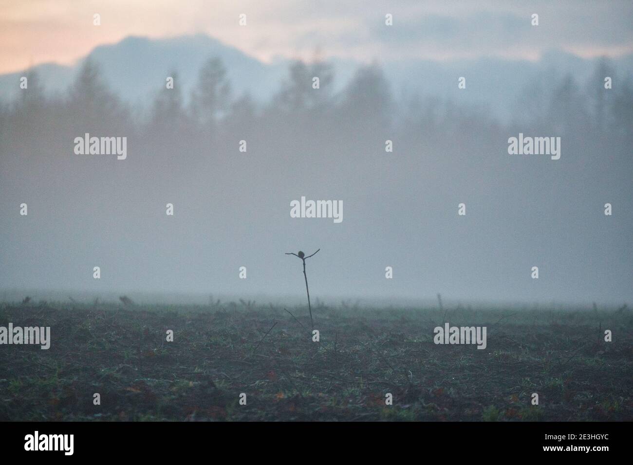 Evening sky clouds fog hi-res stock photography and images - Alamy
