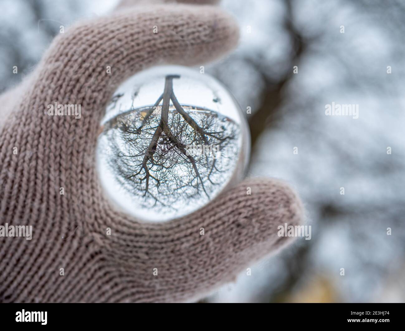 Winter landscape tree in a glass ball Stock Photo - Alamy