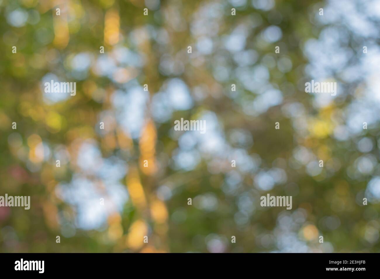 Bokeh green nature background, defocused bokeh background of garden ...