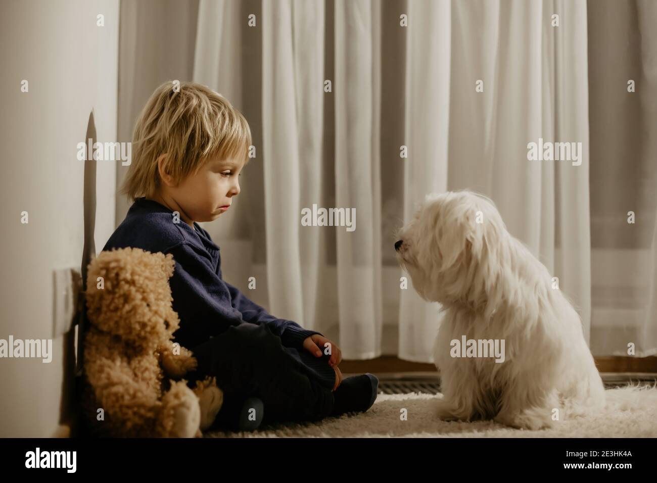 Angry little toddler child, blond boy, sitting in corner with teddy ...