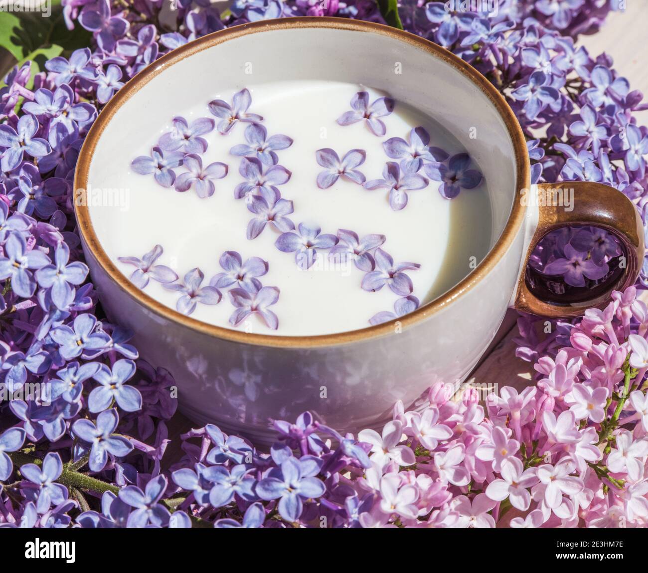 Milky white with purple flower hi-res stock photography and images - Alamy