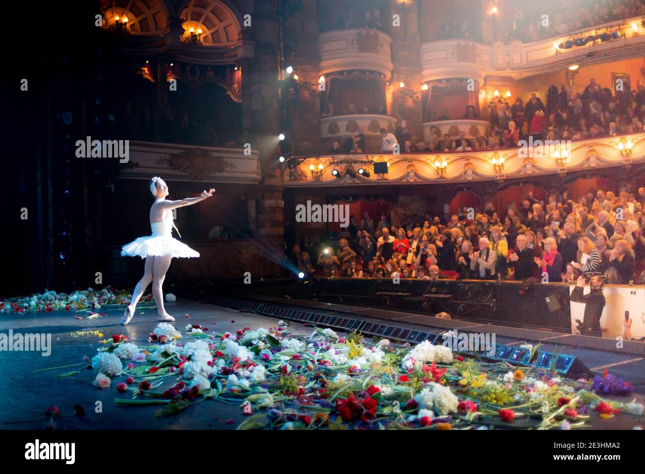 Standing Ovation and Audience Applause for Ballerina Stock Photo - Alamy