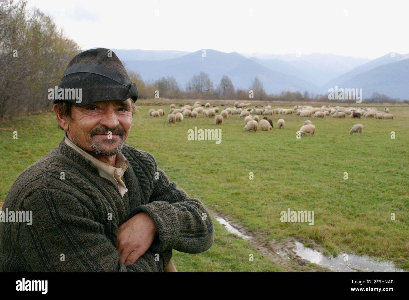 Romanian shepherd flock hi-res stock photography and images - Alamy