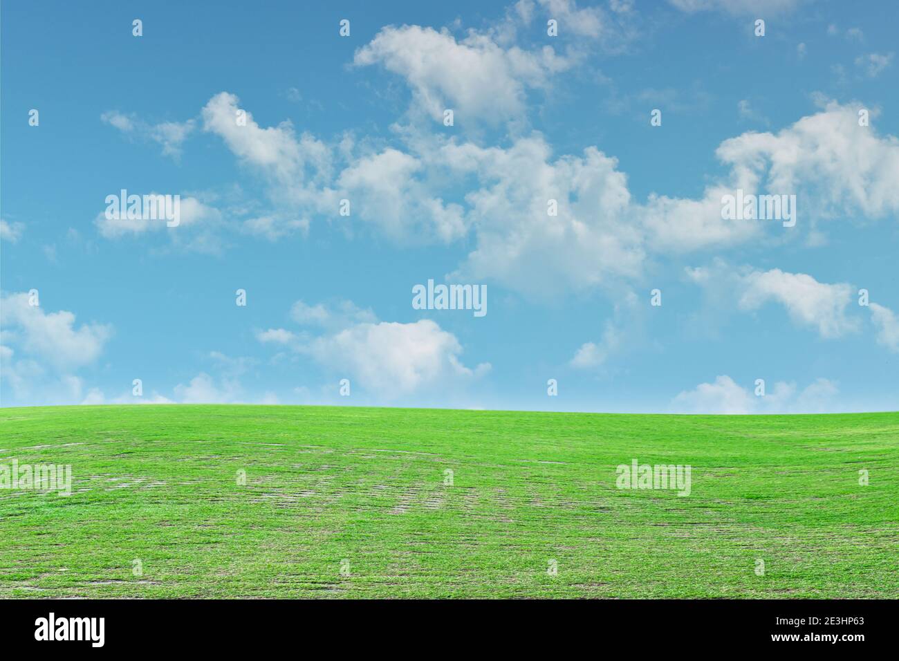 Natural field landscape hi-res stock photography and images - Alamy