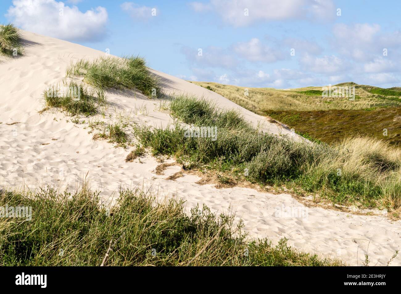 Landscape at the beach of Sylt, Germany, Europe Stock Photo - Alamy