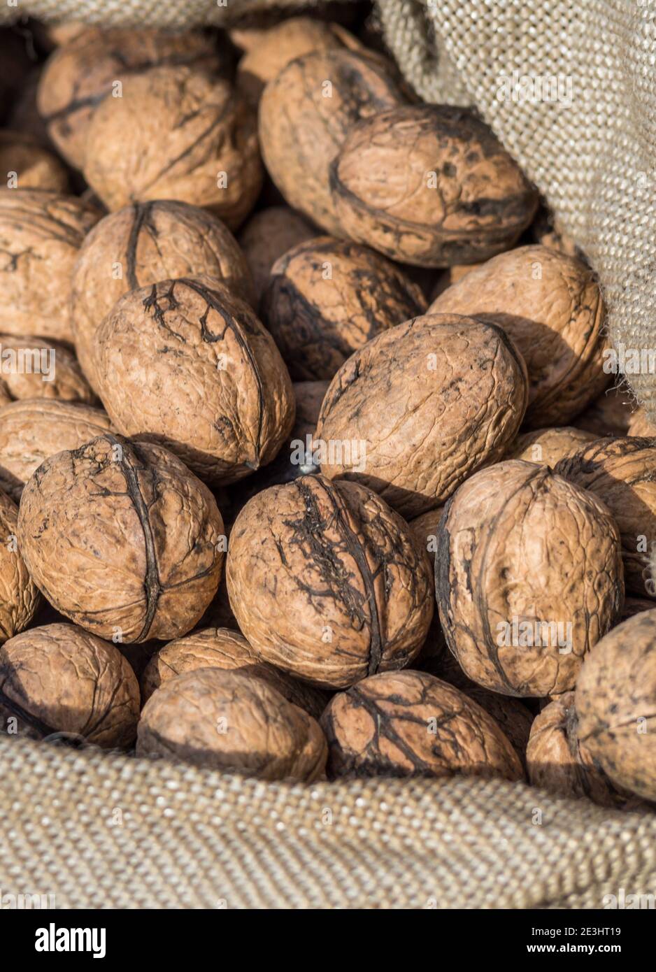 Walnuts from hi-res stock photography and images - Alamy