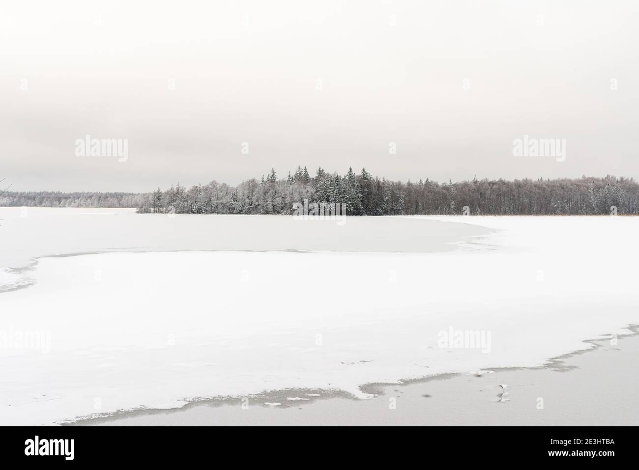 Frozen lake, snowy forest in winter cold day.Outdoors shot Stock Photo ...