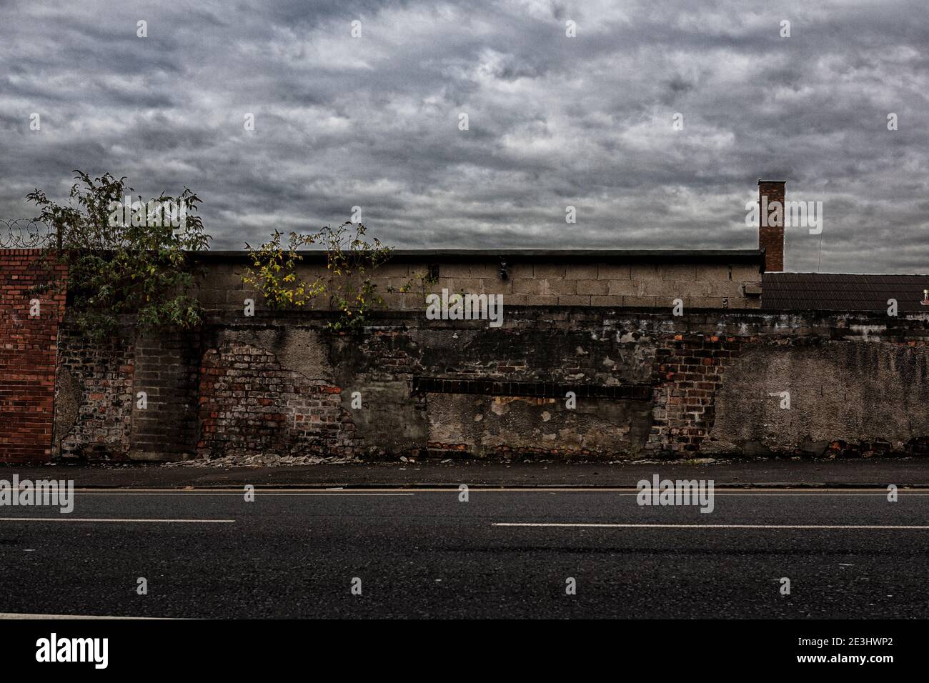 Urban Weeds High Resolution Stock Photography and Images - Alamy