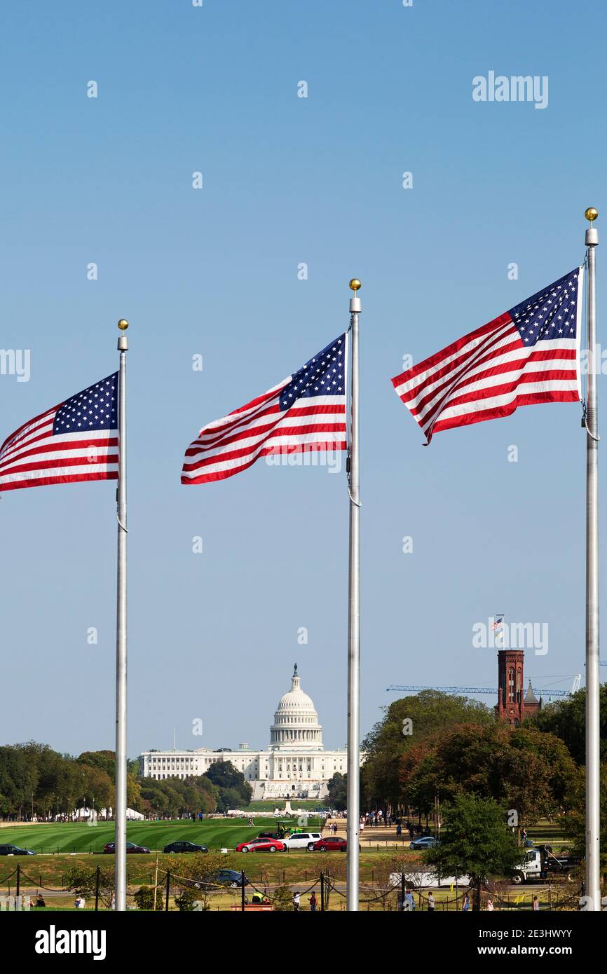 American flags flying in front of the United States Capitol in ...