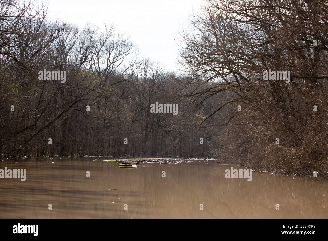 Habitat encroaching hi-res stock photography and images - Alamy