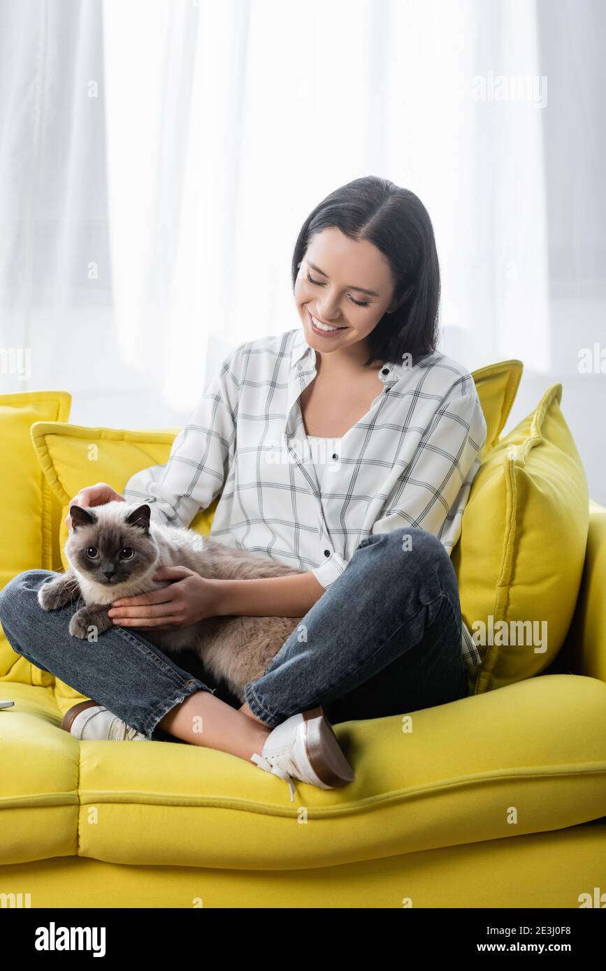 happy woman cuddling cat while sitting on sofa with crossed legs Stock ...