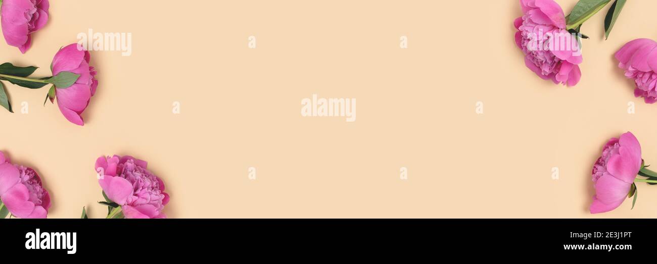 Banner with peony flowers on a beige background. Floral frame with ...