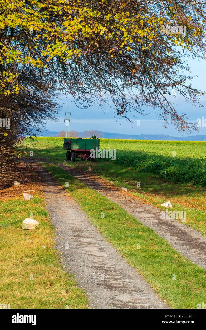 A farm trailer stands on a dirt road in the shade of a tree Stock Photo ...