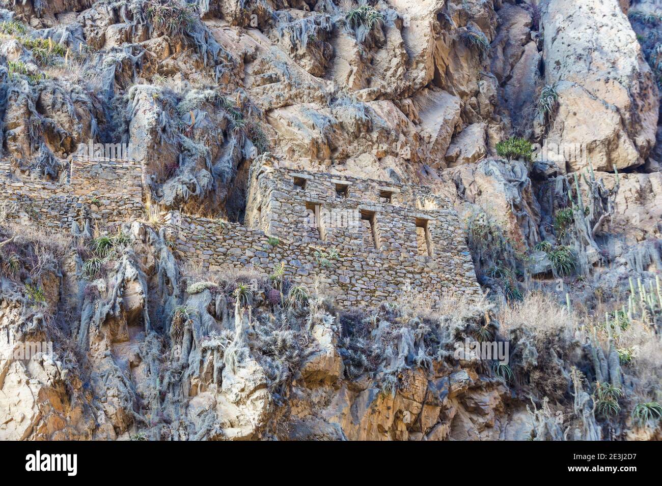 Mountainside qullqas (storehouses) on Pinkuylluna, Ollantaytambo, an ...
