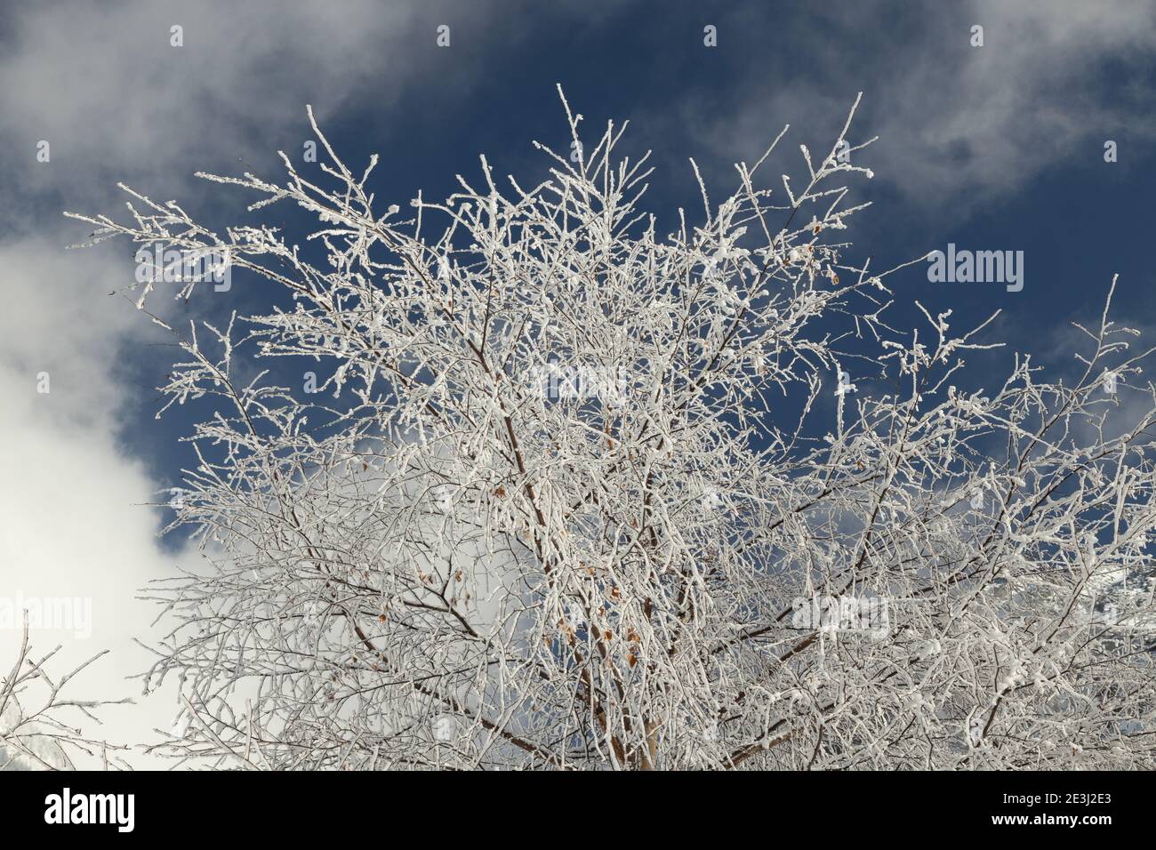 Abstract frozen hi-res stock photography and images - Alamy