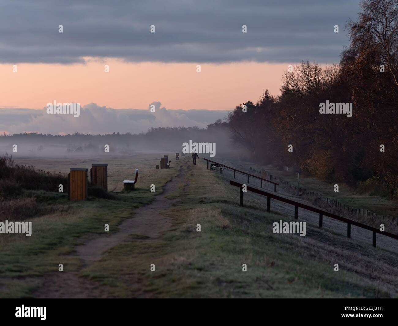 Falster hi-res stock photography and images - Alamy