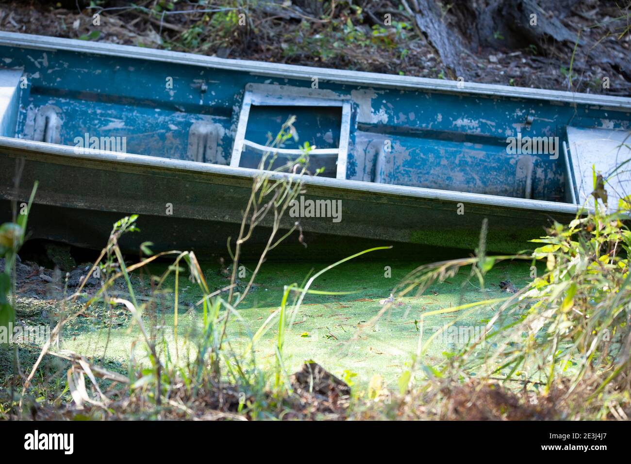 Small aluminum boat grounded at the edge of a lake Stock Photo - Alamy