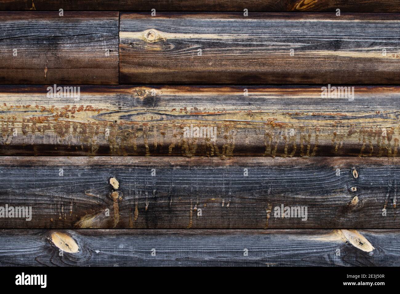 Natural resin hi-res stock photography and images - Alamy