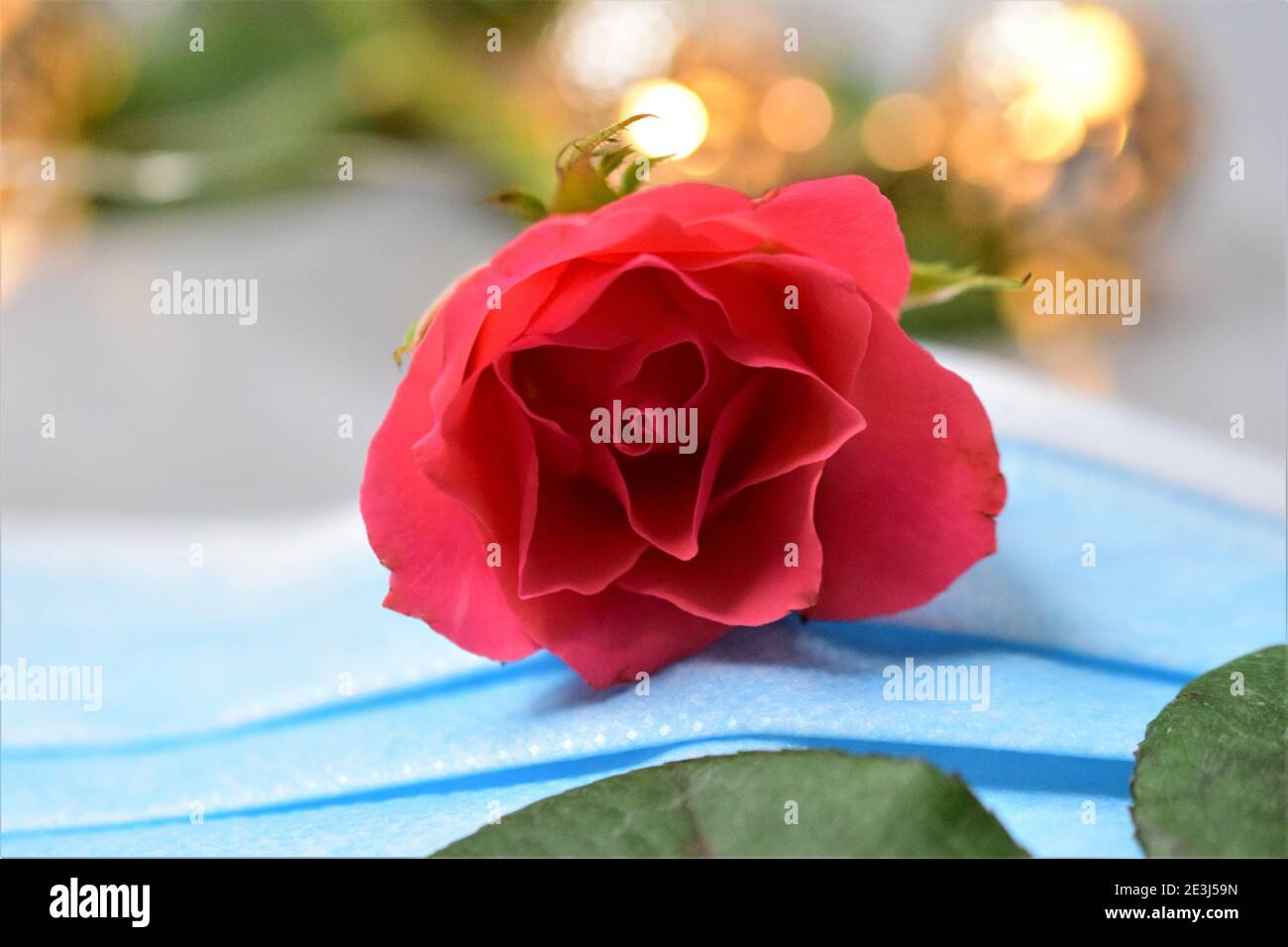 Pink surgical mask hi-res stock photography and images - Alamy
