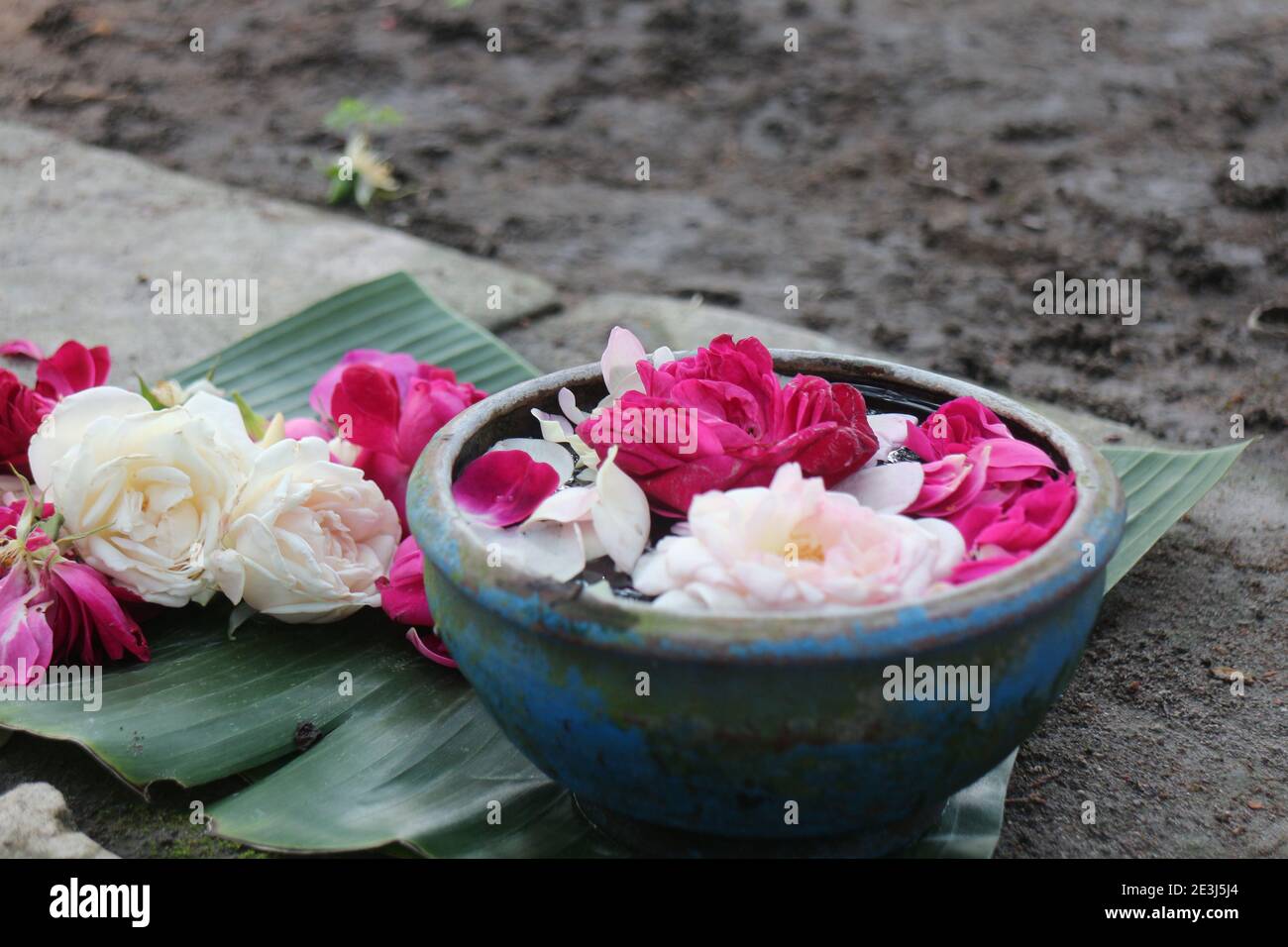 Flowers Inside A Bow Made of Stone for Ritual Offerings in Surakarta ...
