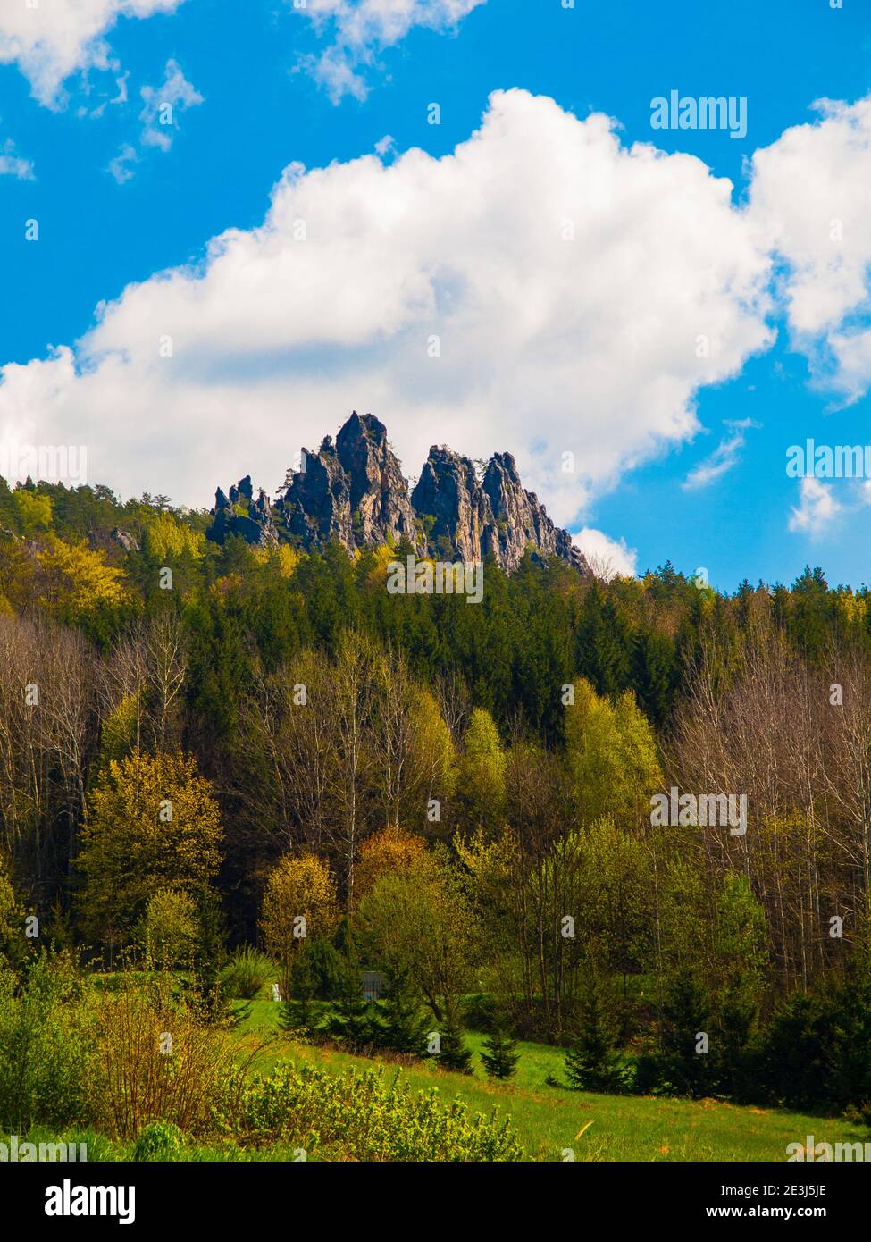 Sharp sand stone rock formation in the forest Stock Photo - Alamy