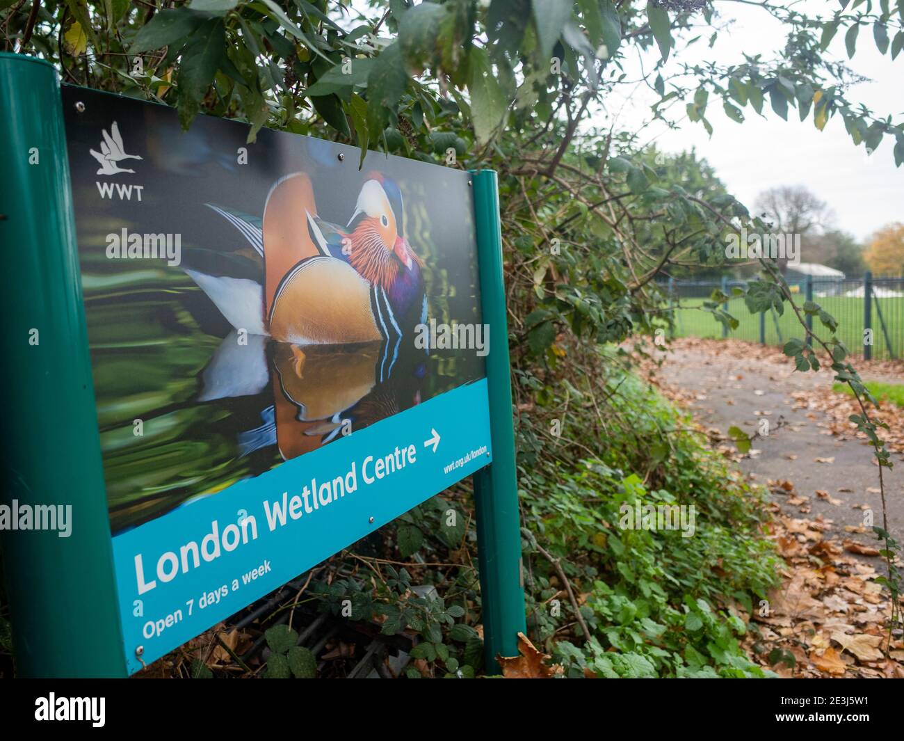 London- London Wetland Centre in Barnes, a wetland nature reserve in ...