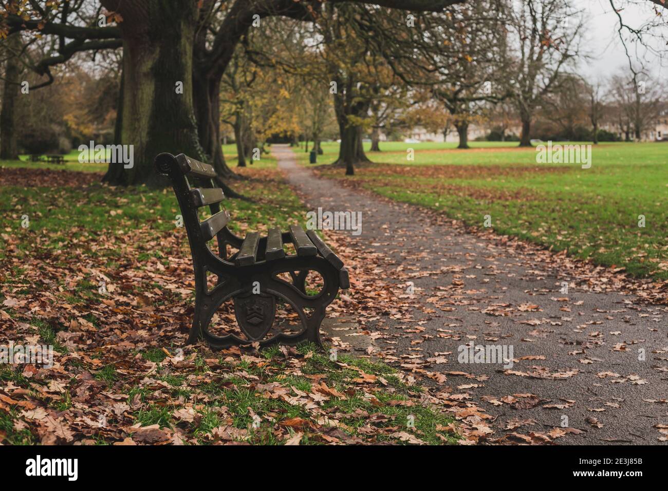 Wood bench inside Royal Victoria Park in Bath, Somerset, England, UK ...