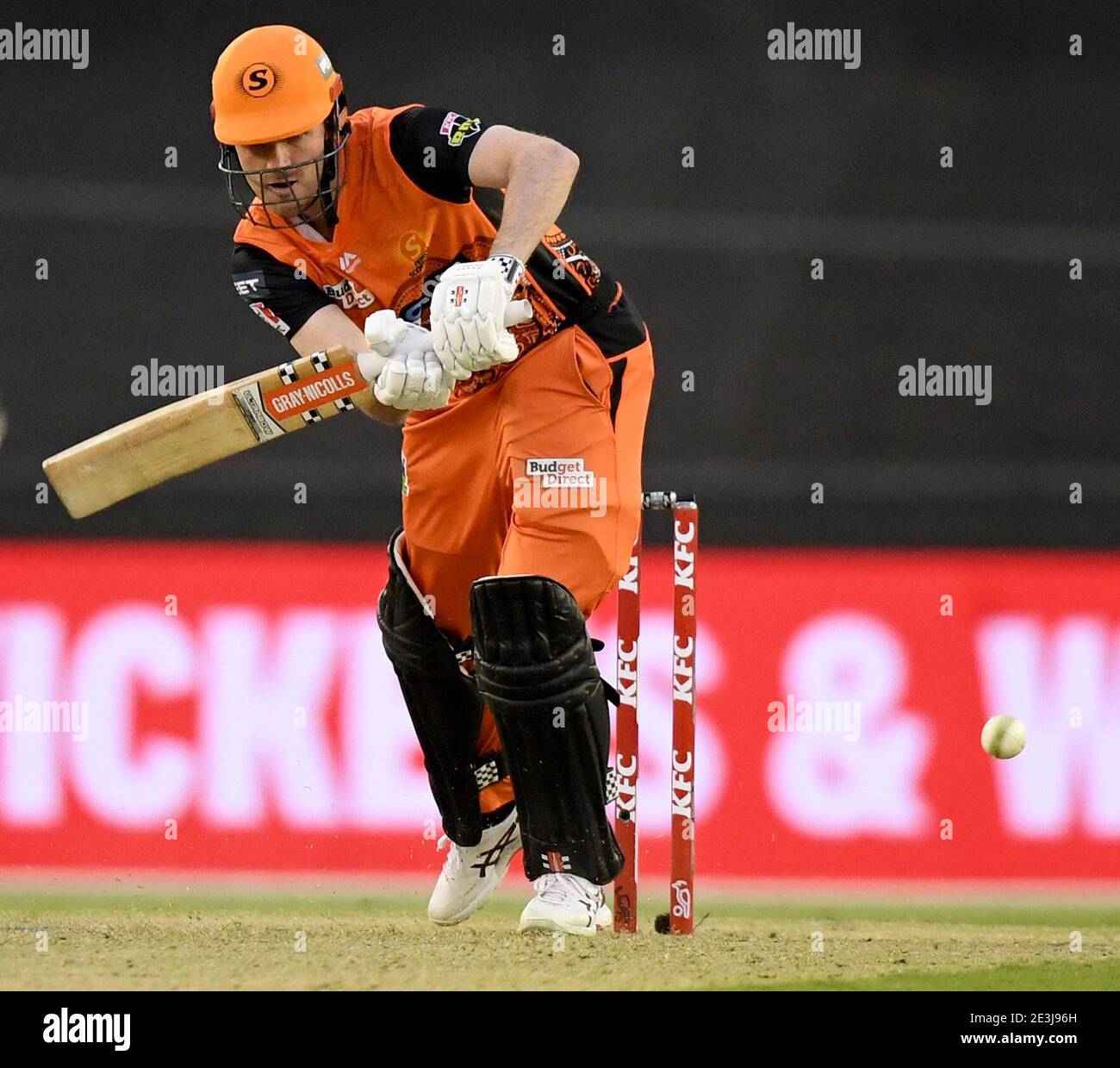 Perth scorchers 2021 hi-res stock photography and images - Alamy