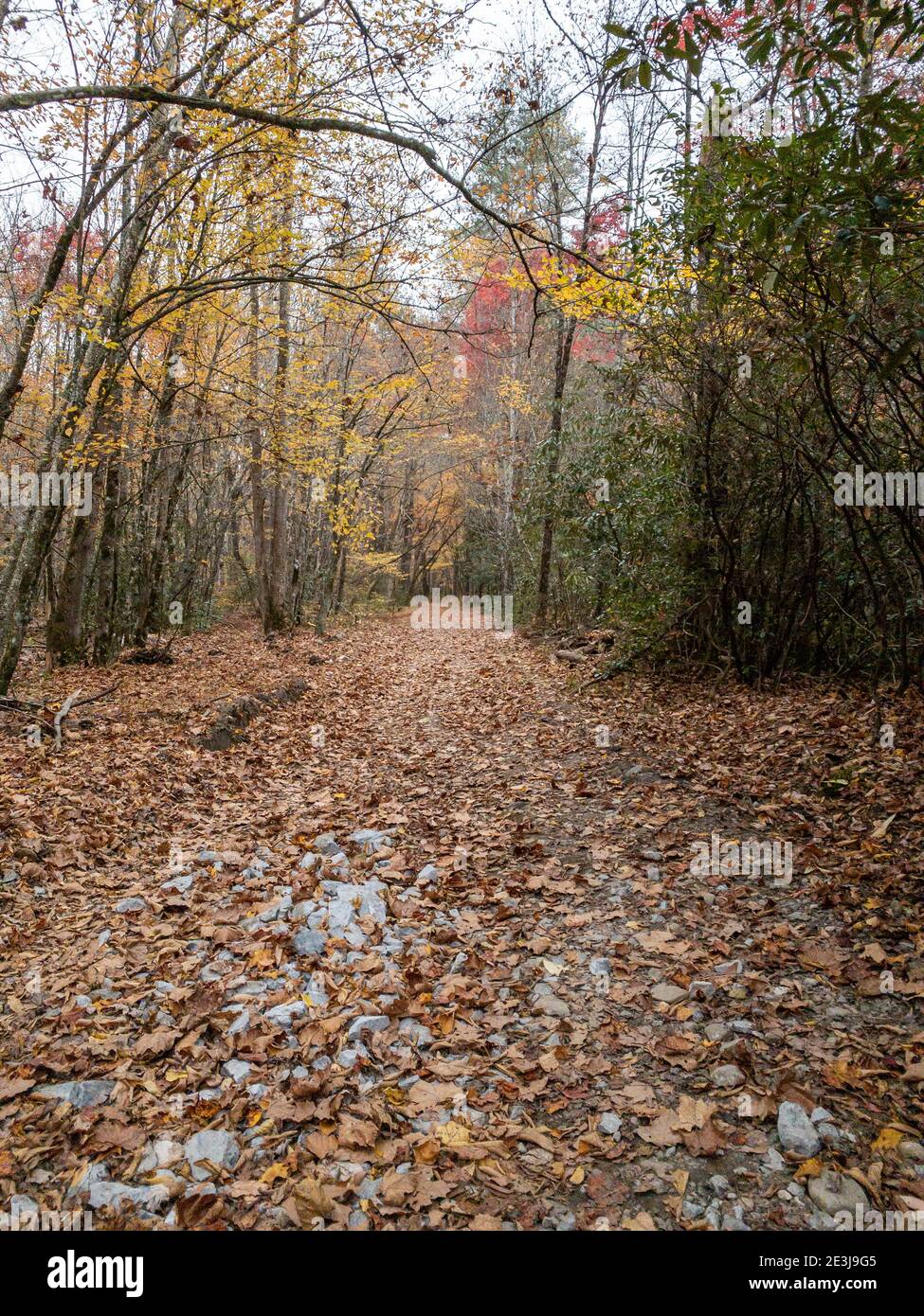 Old Road Turned To Trail In Fall Stock Photo - Alamy