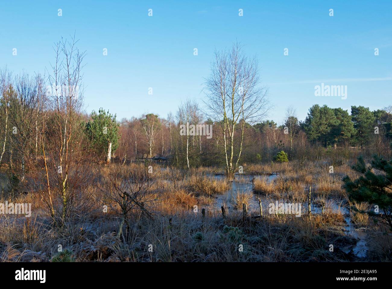 Heath common yorkshire hi-res stock photography and images - Alamy