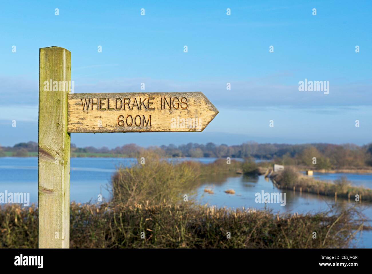 Wheldrake Ings nature reserve, North Yorkshire, England UK Stock Photo ...