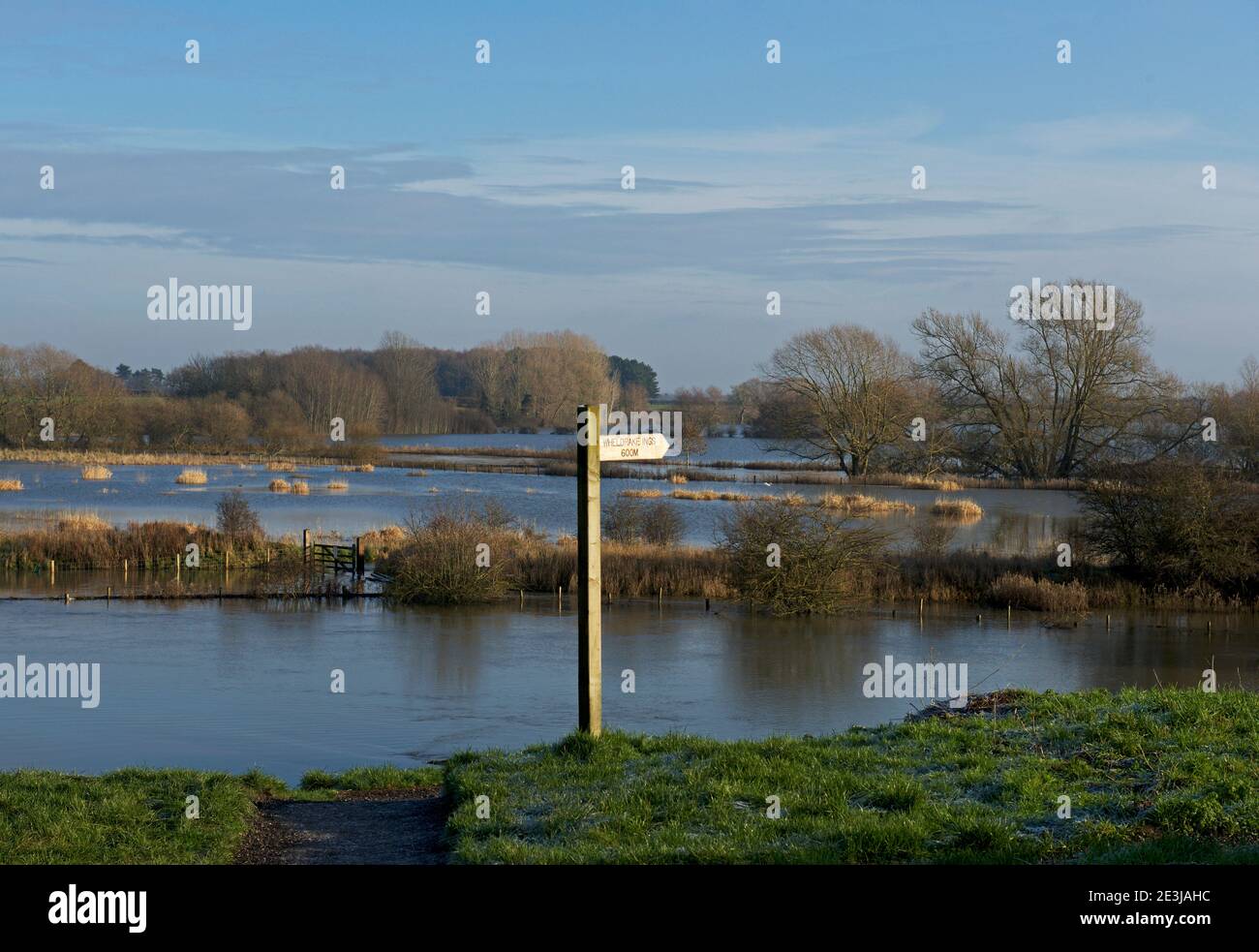 Wheldrake Ings nature reserve, North Yorkshire, England UK Stock Photo ...