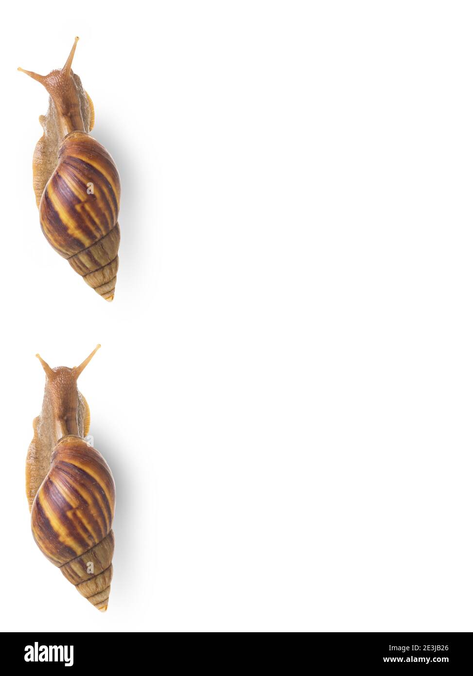 Happy couple on dinner Cut Out Stock Images & Pictures - Alamy