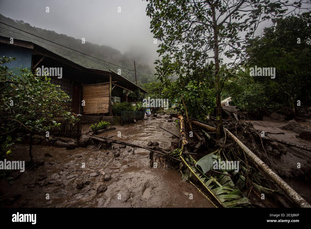 Gunung mas puncak hi-res stock photography and images - Alamy
