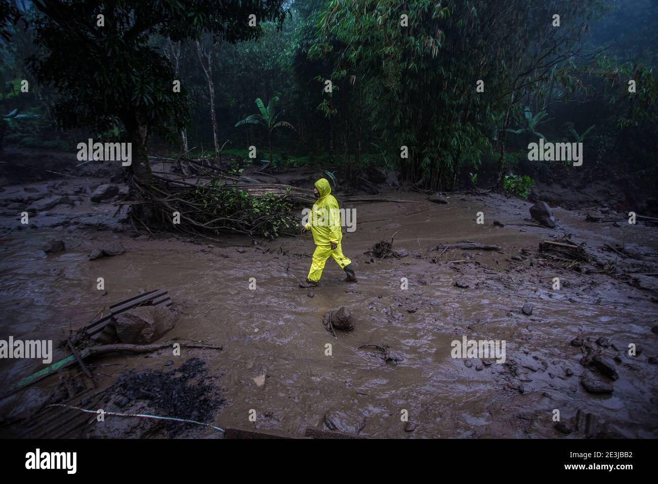 Gunung mas puncak hi-res stock photography and images - Alamy